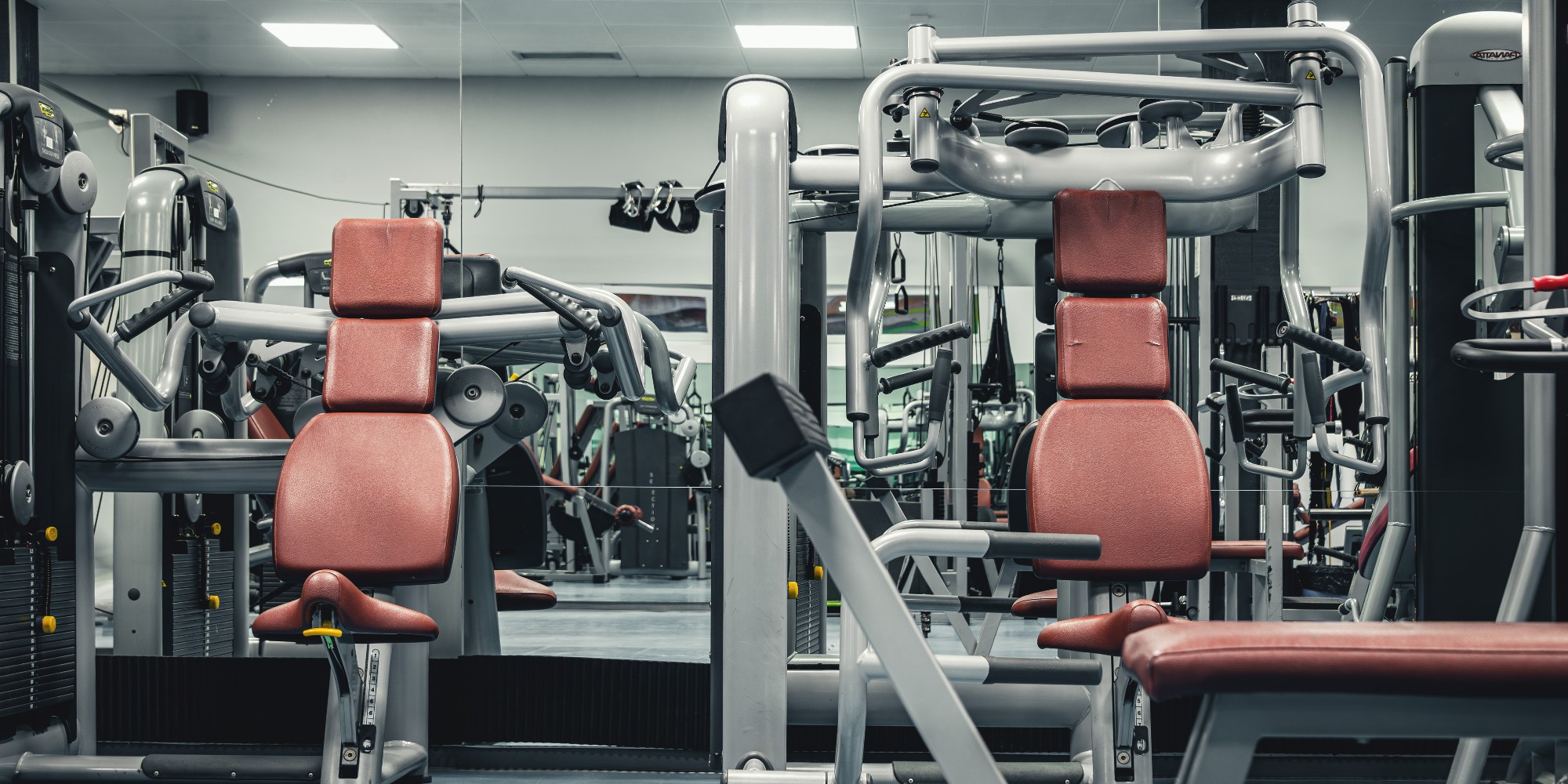 Offizielle Website der Ritten Arena (Italy) ~ Ritten Arena